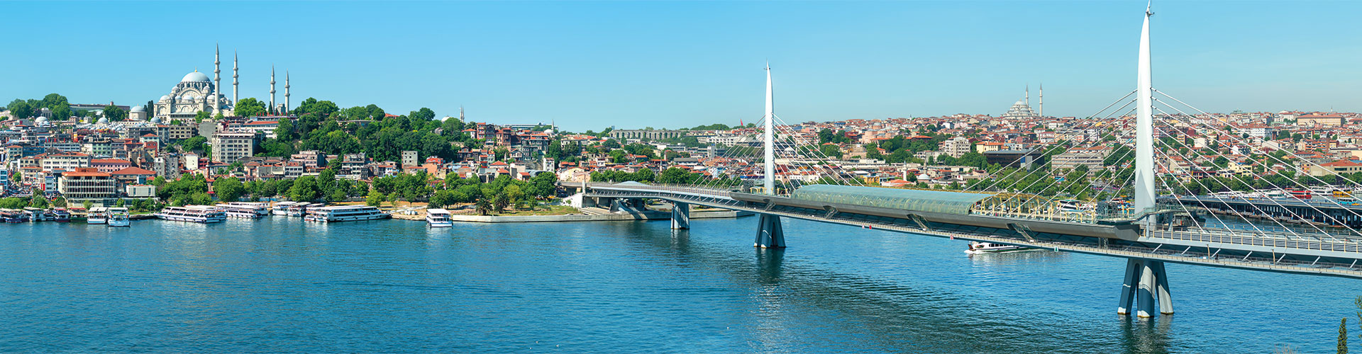 Güncel İlanlar | Lider Girişimci İş İnsanları Derneği